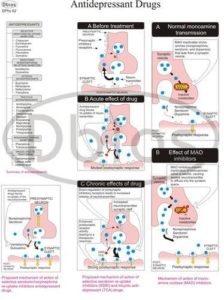 Pharmacology Medical charts – For Classes, Not Masses
