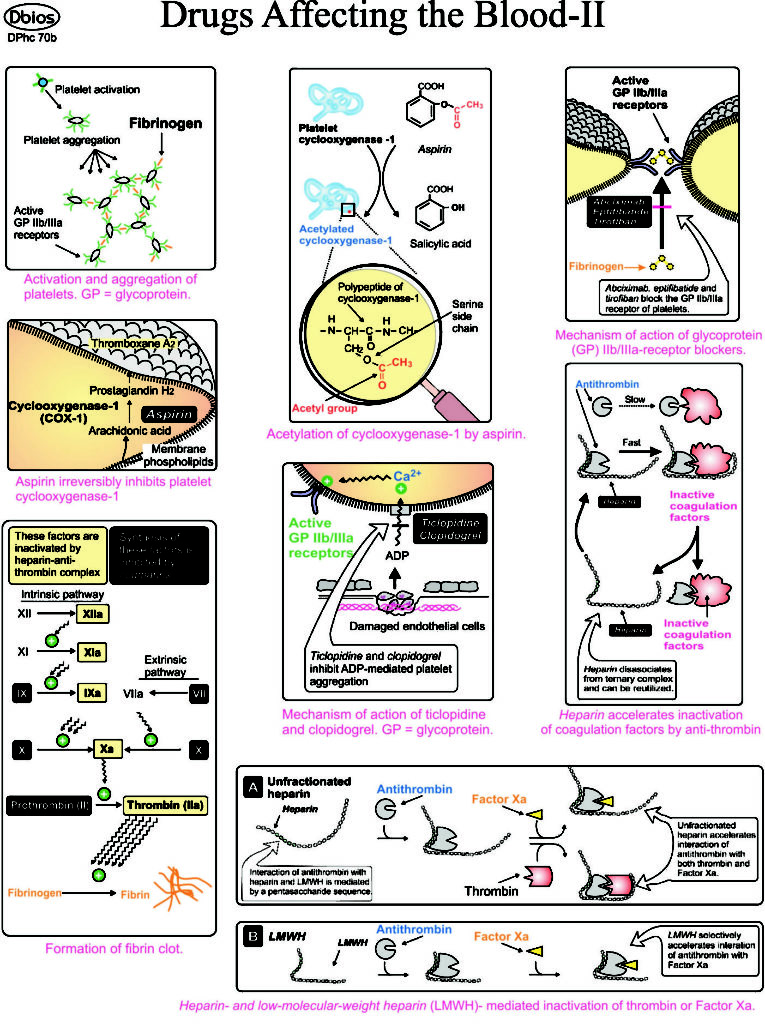Pharmacology Charts-Scientists